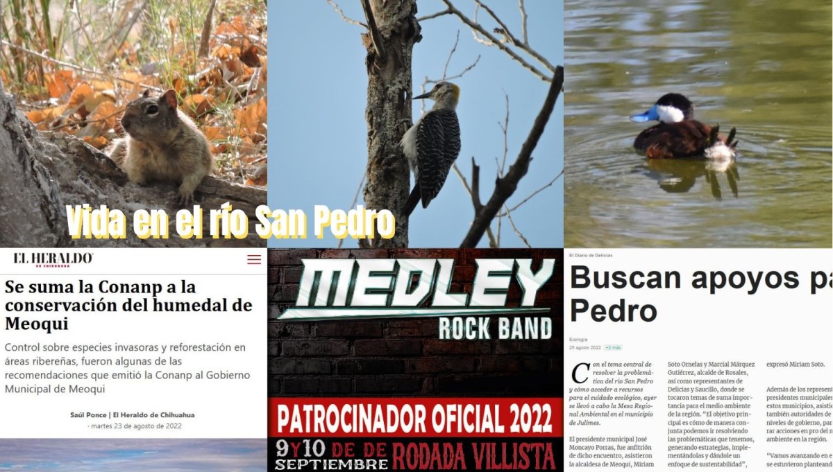 Continúa la organización de eventos que producen contaminación acústica ...