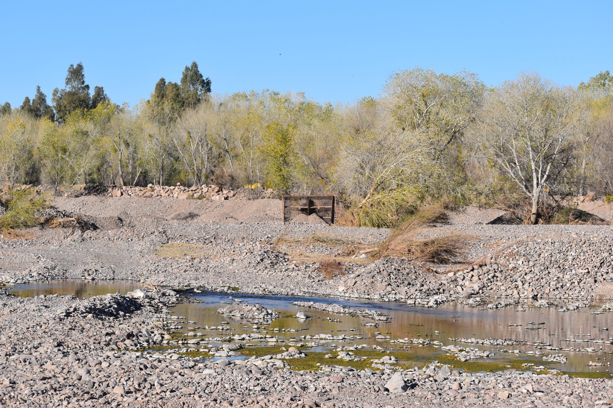 Destrucción del ecosistema del río San Pedro, Rosales, Chihuahua, por ...