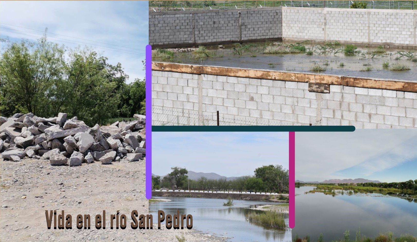 Enseñando al río como ser río – Vida en el Río San Pedro