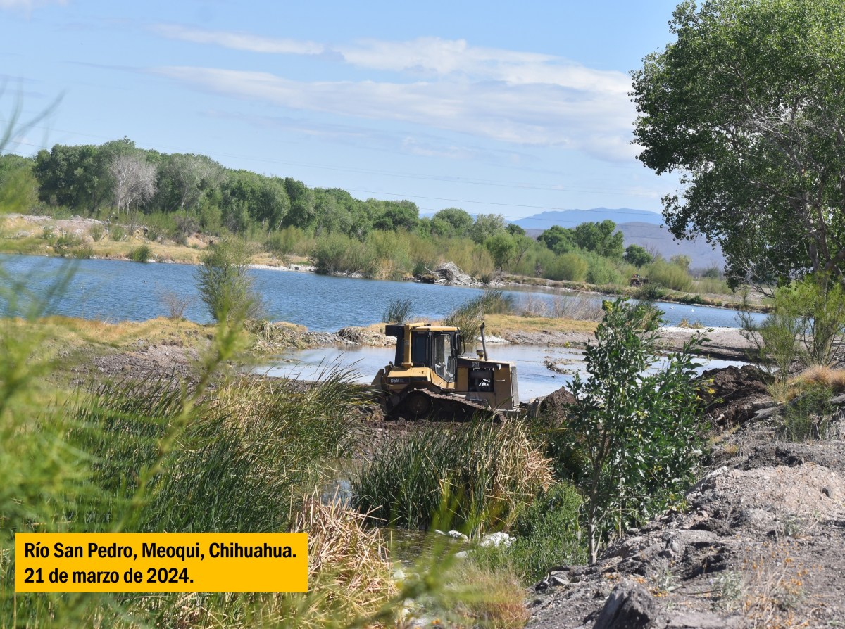 Enseñando al río como ser río – Vida en el Río San Pedro