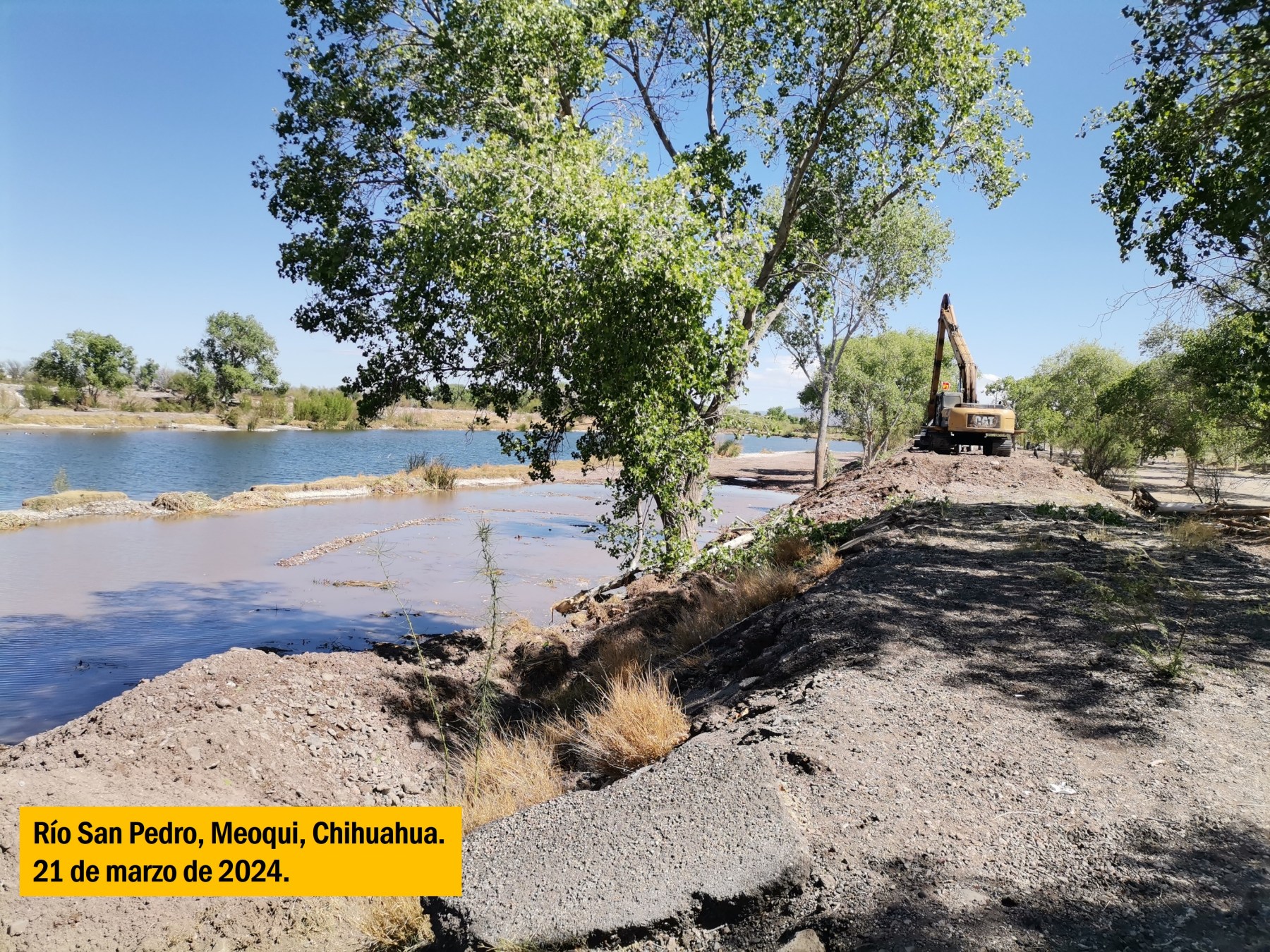 Enseñando al río como ser río – Vida en el Río San Pedro