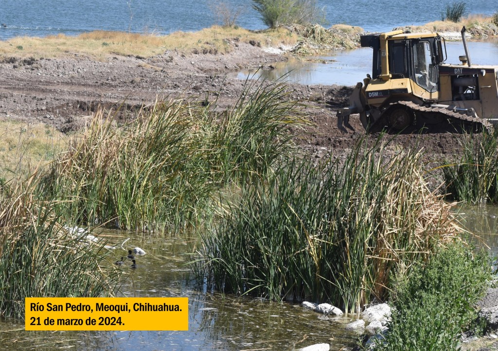 Enseñando al río como ser río – Vida en el Río San Pedro